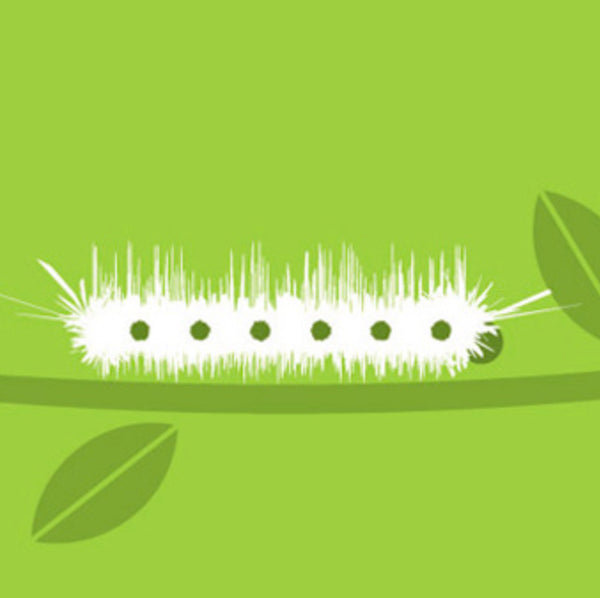 Caterpillar Greeting Card – Flavour Design Studio